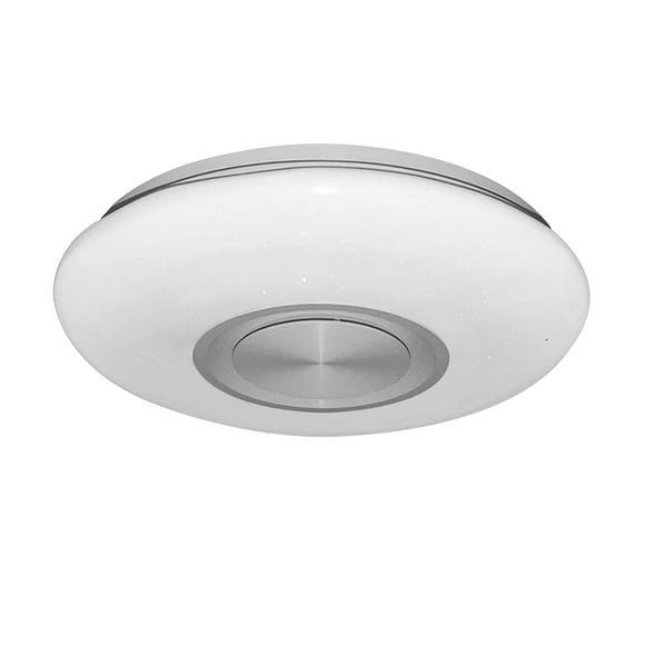 Bluetooth Ceiling Light