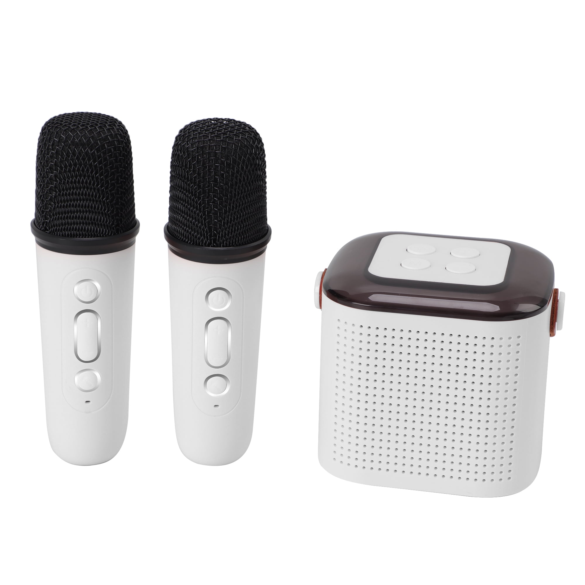 Bluetooth Karaoke Speaker with 2 Wireless Mics and LED Color Lights ...