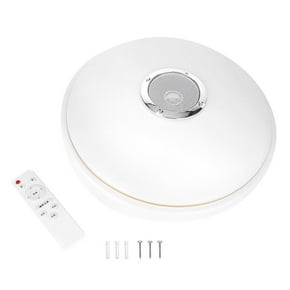 Bluetooth Ceiling Light