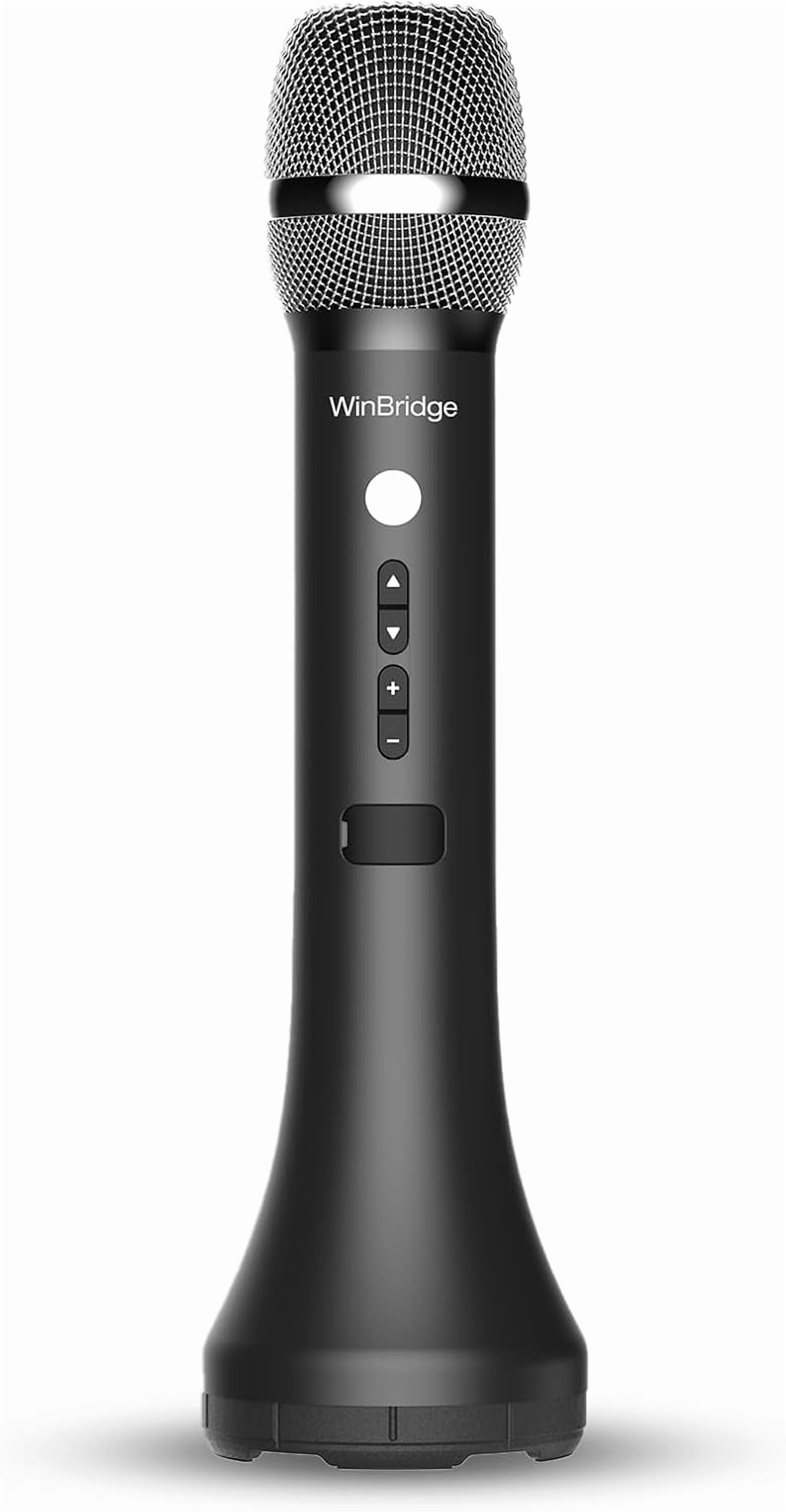 Bluetooth Microphone Wireless Voice Amplifier, Professional Intelligent ...
