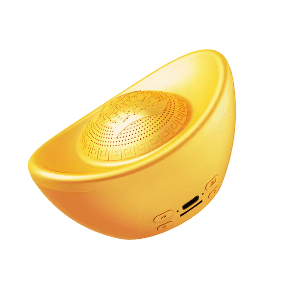Bluetooth Speaker with TWS Stereo, TF Card Support, Type-C Charging, 1 ...