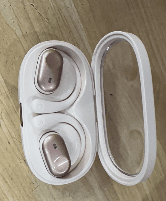 Bluetooth Translation Earbuds Real-Time Interpreter Noise Cancelling ...