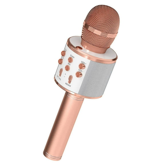 Bluetooth Wireless Karaoke Microphone All-in-One Portable Handheld Mic ...