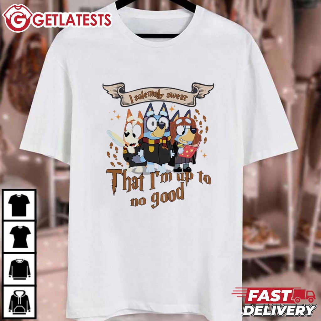 Bluey Harry Potter Magic Wizards Squad T-Shirt,Ash Grey Color,Size M ...