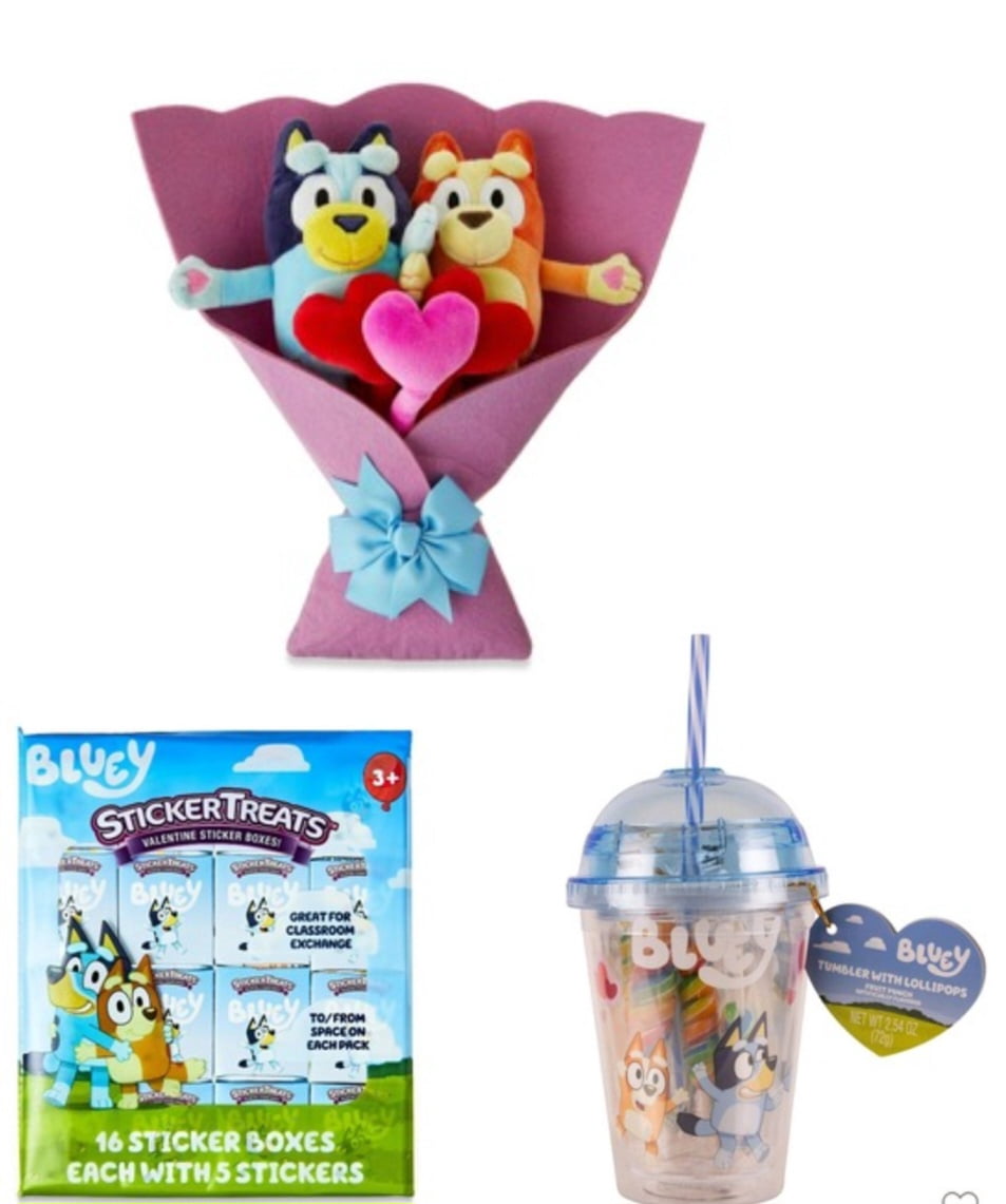 Bluey Plush Bouquet with 16 Sticker Treats and Mini Dome Tumbler with ...