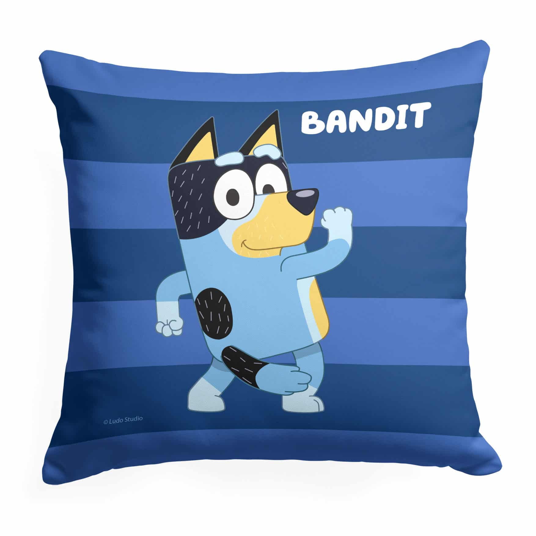 Bluey Roll Call Bandit Kids Printed Throw Pillow, 18 x 18 inches ...