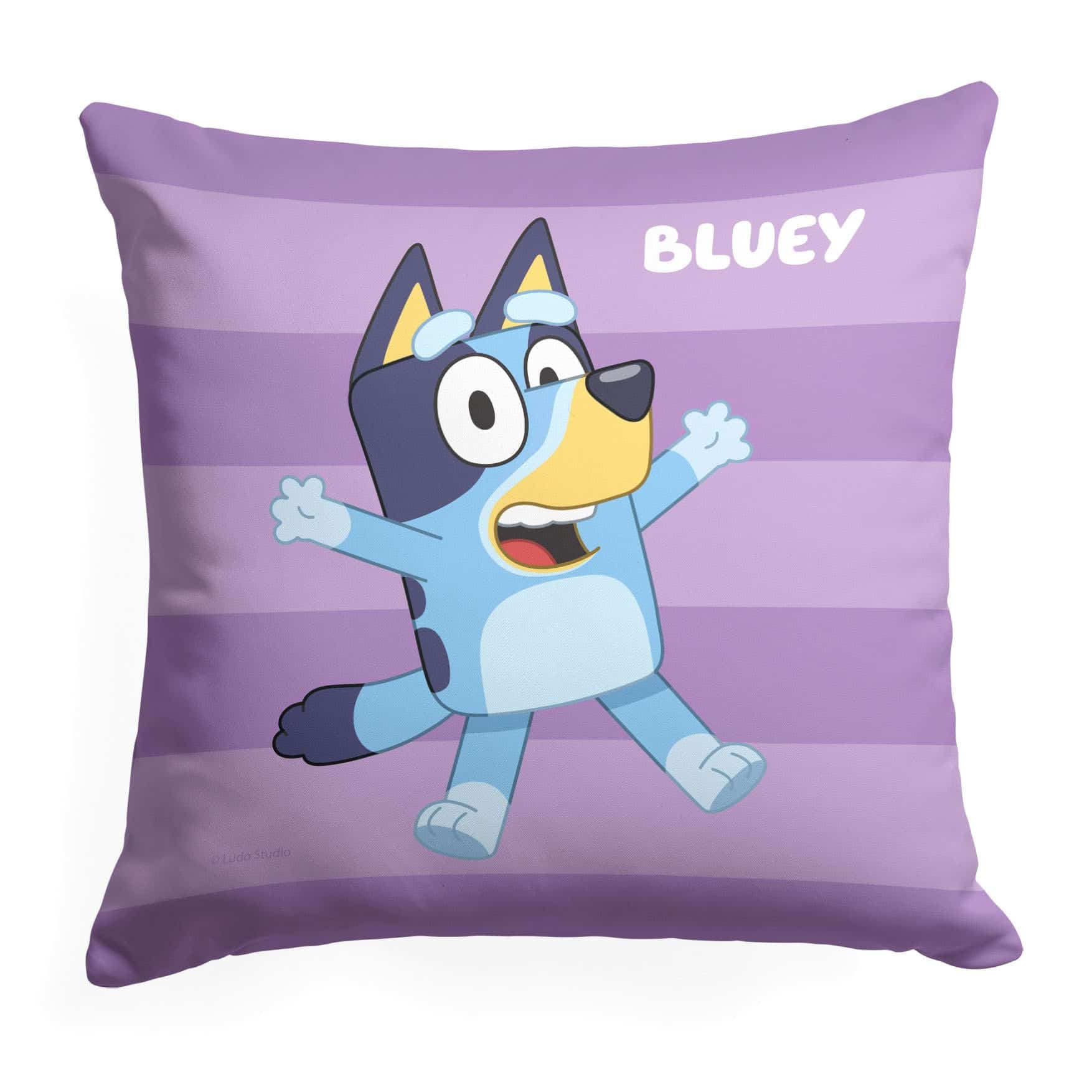 Bluey Roll Call Bluey Kids Printed Throw Pillow, 18 x 18 inches ...