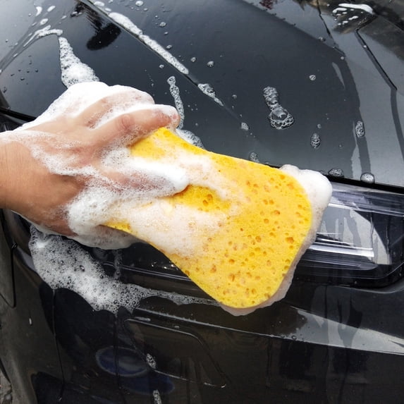 Blukids Large Bug Scrubber Sponge- Reusable Car Bug & Tar Remover ...