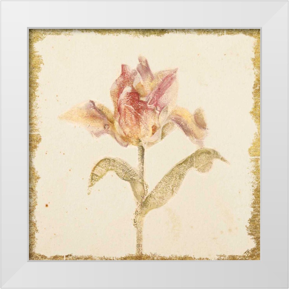 Blum, Cheri 26x26 White Modern Wood Framed Museum Art Print Titled ...