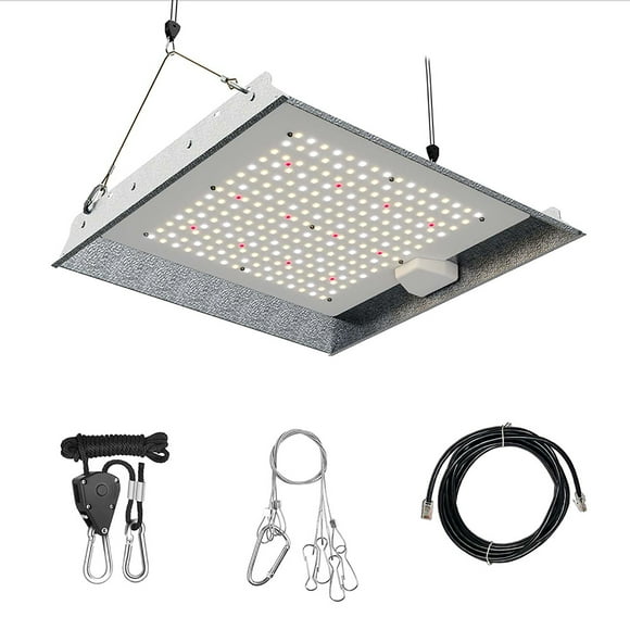Indoor Grow Lights