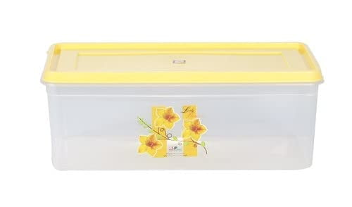 Blumfye Plastic Big Container for HomeKitchenOffice Set of 1 4000 ml ...