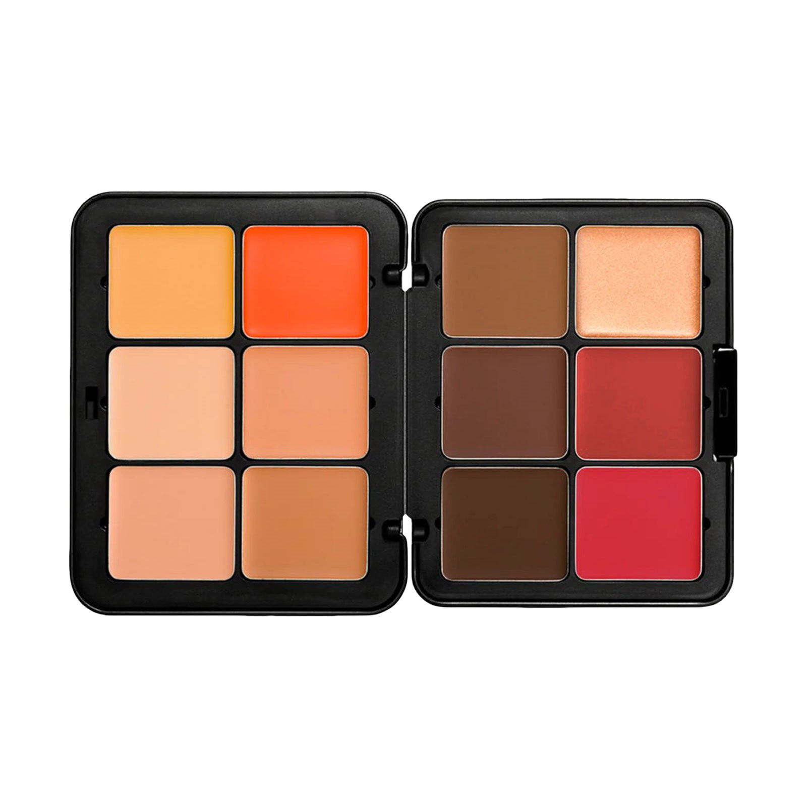 Blush 12 Color Concealer & 2 In 1 Long Wearing Full Coverage Makeup ...