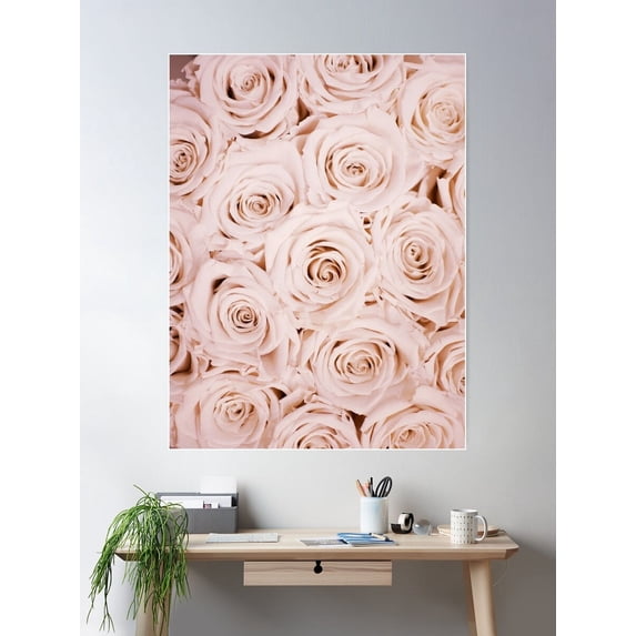 Blush Pink Roses Poster Wall Art Modern Wall Decor Wall Art Home Decor ...