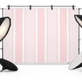 Blush Pink White Stripes Backdrops for Photography, Lines Modern ...