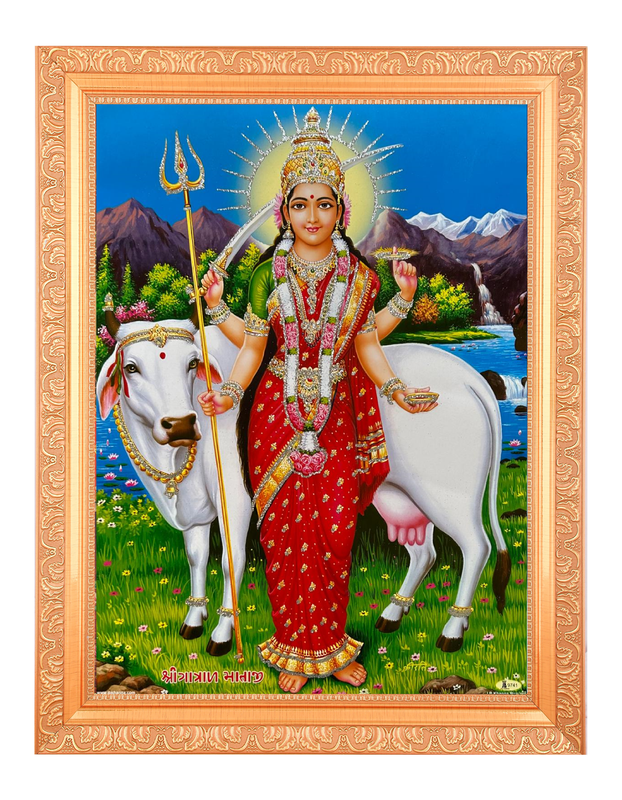 Bm Traders Jay Gatrad Devi Maa Zari Print Photo In Religious Frame (14 ...