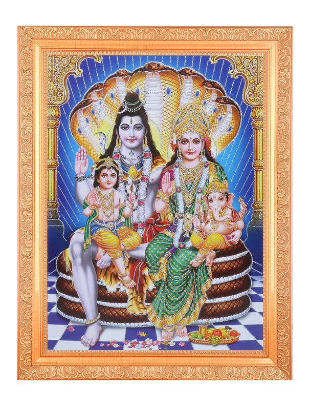 Bm Traders Shiv Parvar Sitting On Naag Zari Print Photo In Religious ...