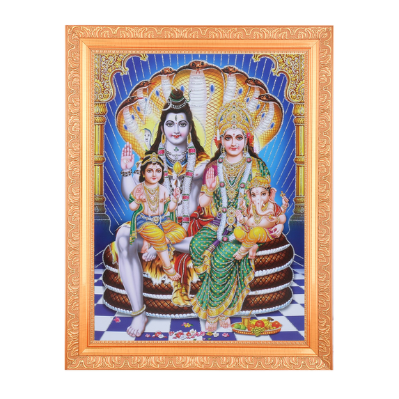 Bm Traders Shiv Parvar Sitting On Naag Zari Print Photo In Religious ...