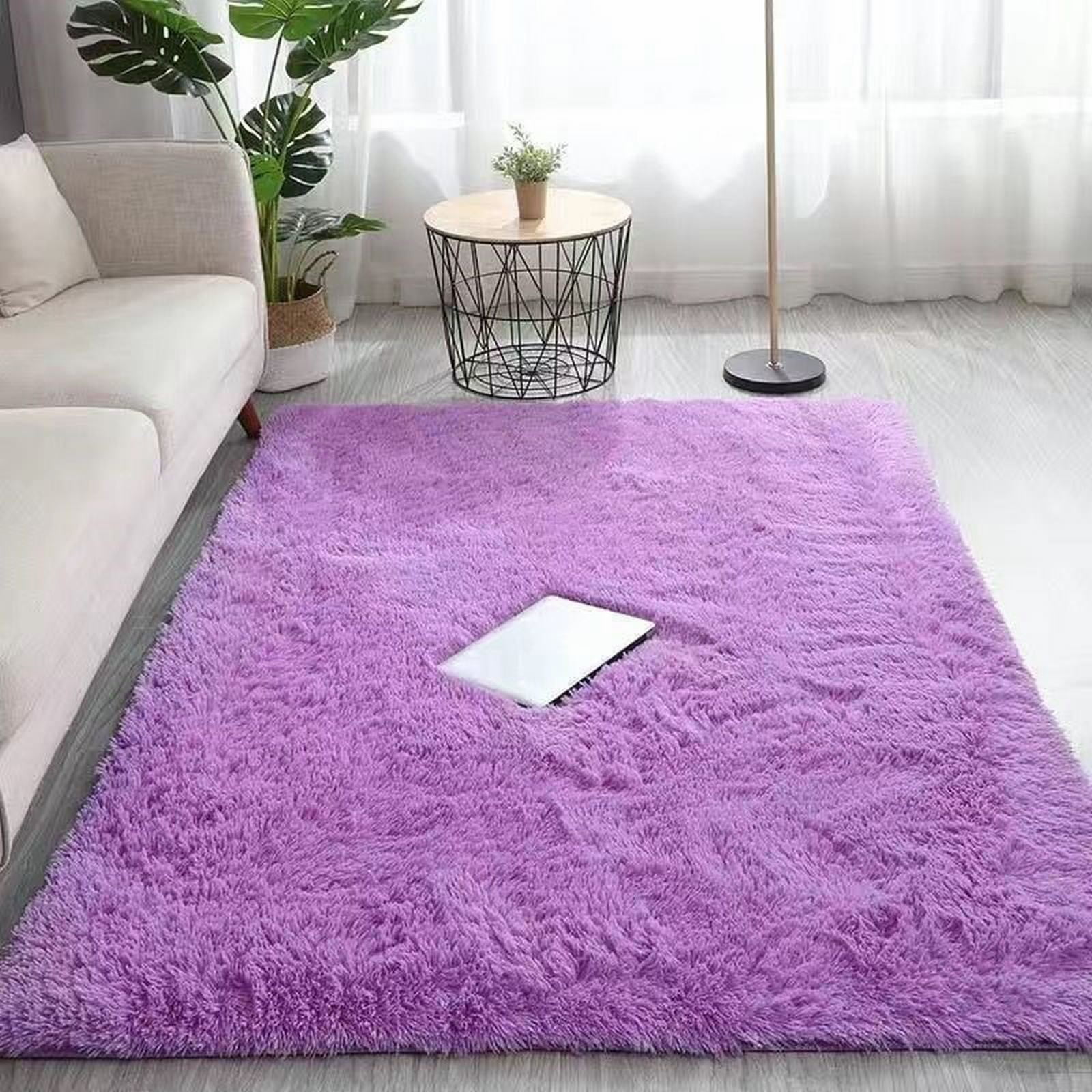 Bnnlsa Carpet Microfiber Mat Machine Washable Rugs for Parlor Bedroom ...