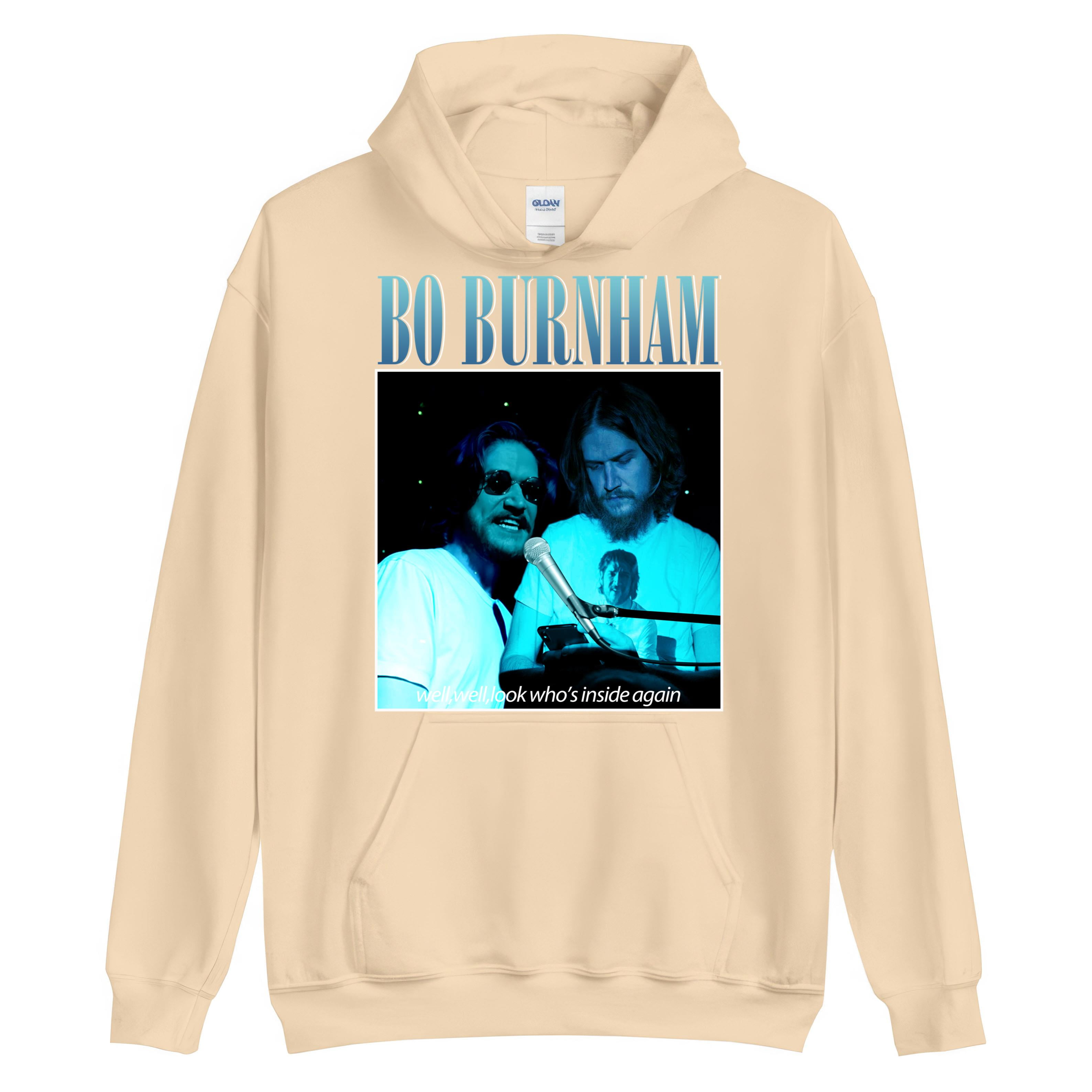 Bo Burnham Shirt, Bo Burnham Vintage 90s Shirt, Bo Burnham Inside Sweatshirt, Welcome To The ...
