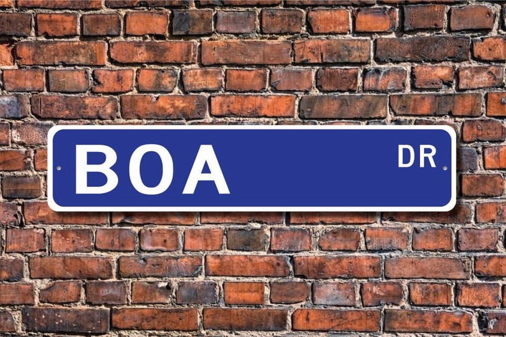 Boa Boa Gift Boa Sign Boa decor Boa expert Boa lover snake expert boa ...