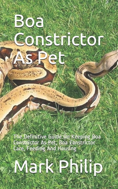 Boa Constrictor As Pet : The Definitive Guide On Keeping Boa ...