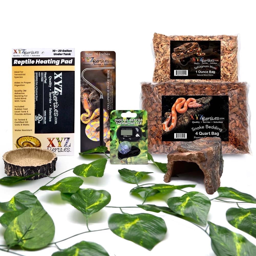 Boa Constrictor Setup 10 Gallon Snake Starter Kit Habitat - Walmart.com