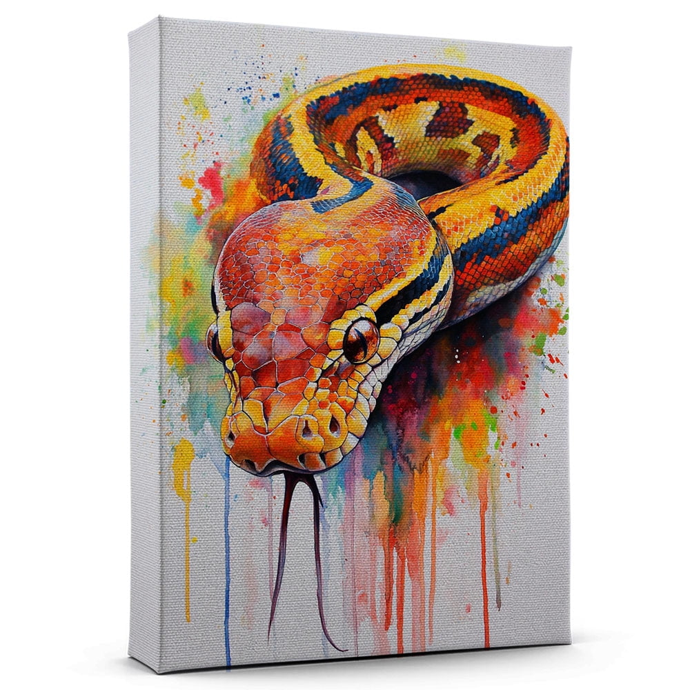 Boa Constrictor Red Tailed Canvas Wall Art Animal Gifts Colourful Boa ...