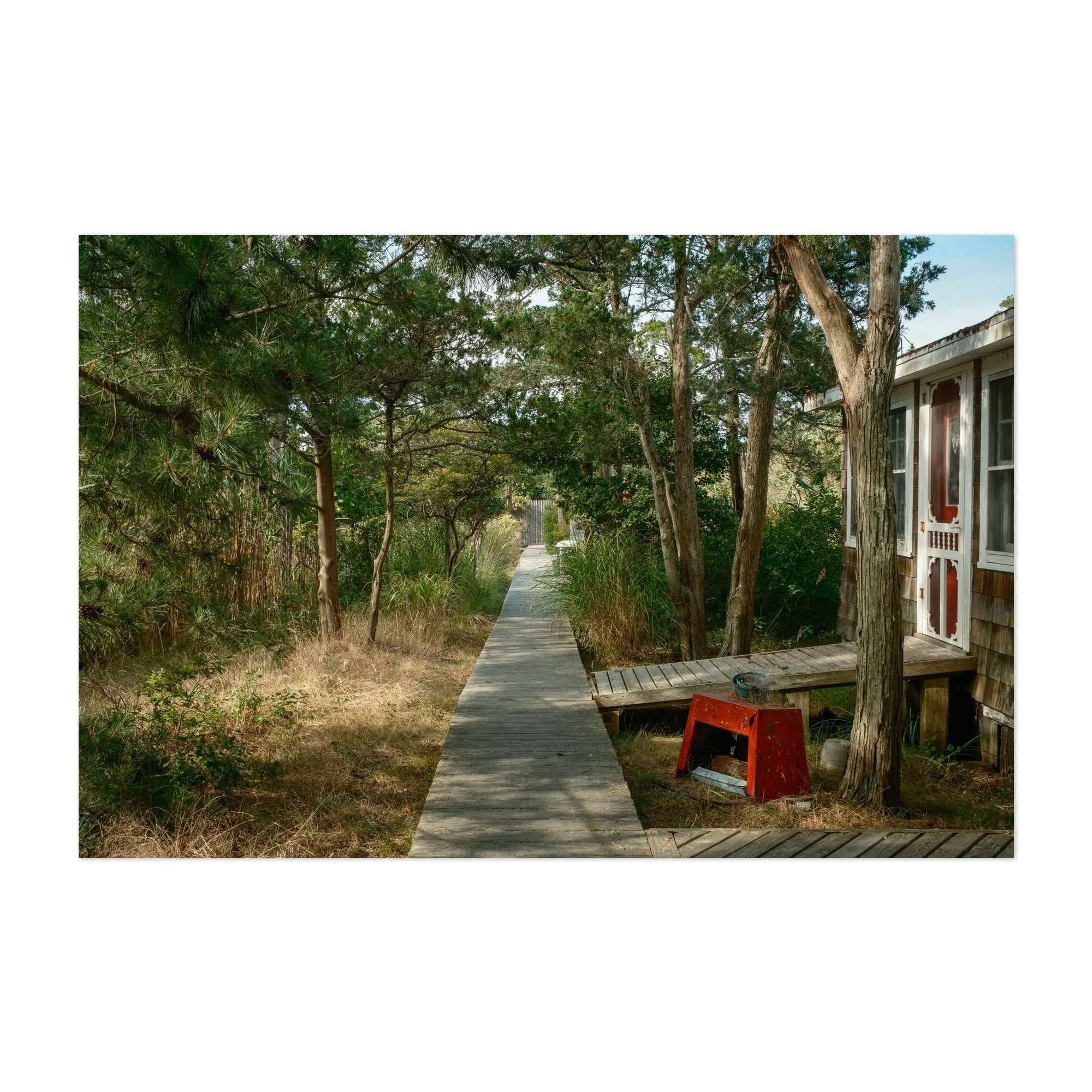 Boardwalk on Fire Island 01 - Fire Island New York Photography Nature ...