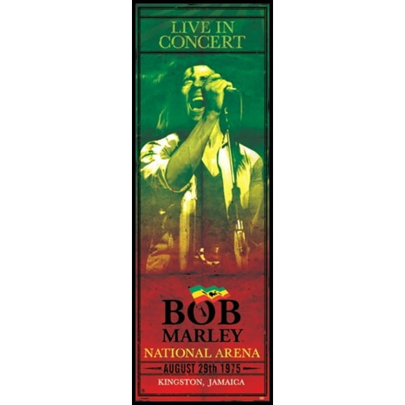 Concert Poster Frame