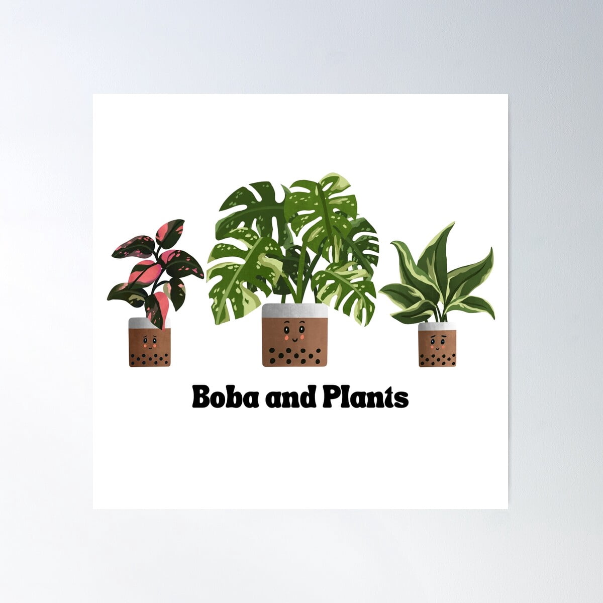 Boba Trio Of Plants | Philodendron Pink Princess | Monstera Thai ...
