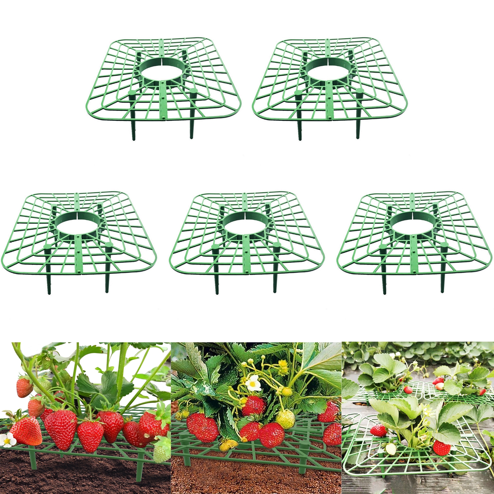 Bobasndm 5 PCS Strawberry Stand, Adjustable Strawberry Growing Shelves ...