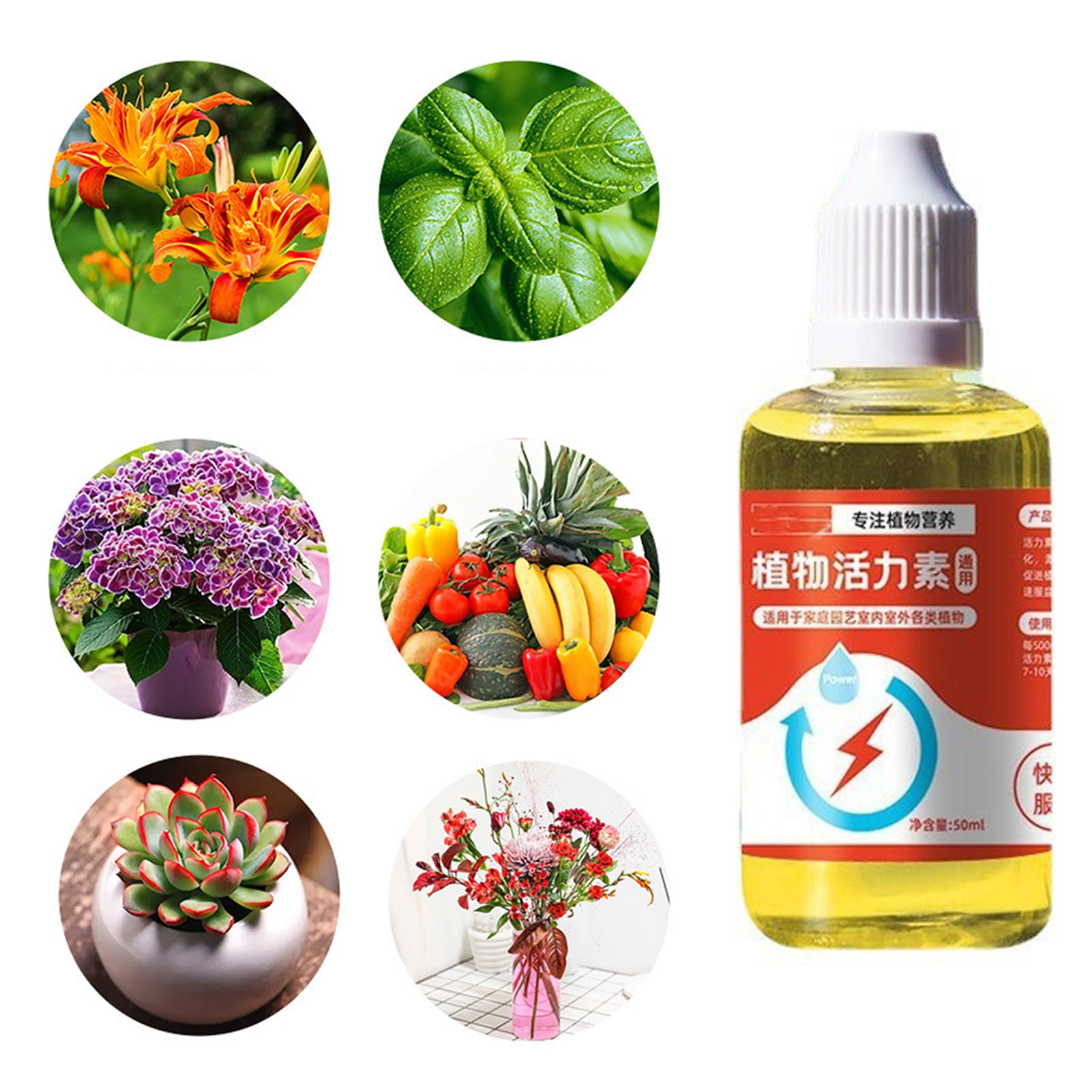 Bobasndm Plant Growth Enhancer Supplement,Take Root Rooting Hormone ...