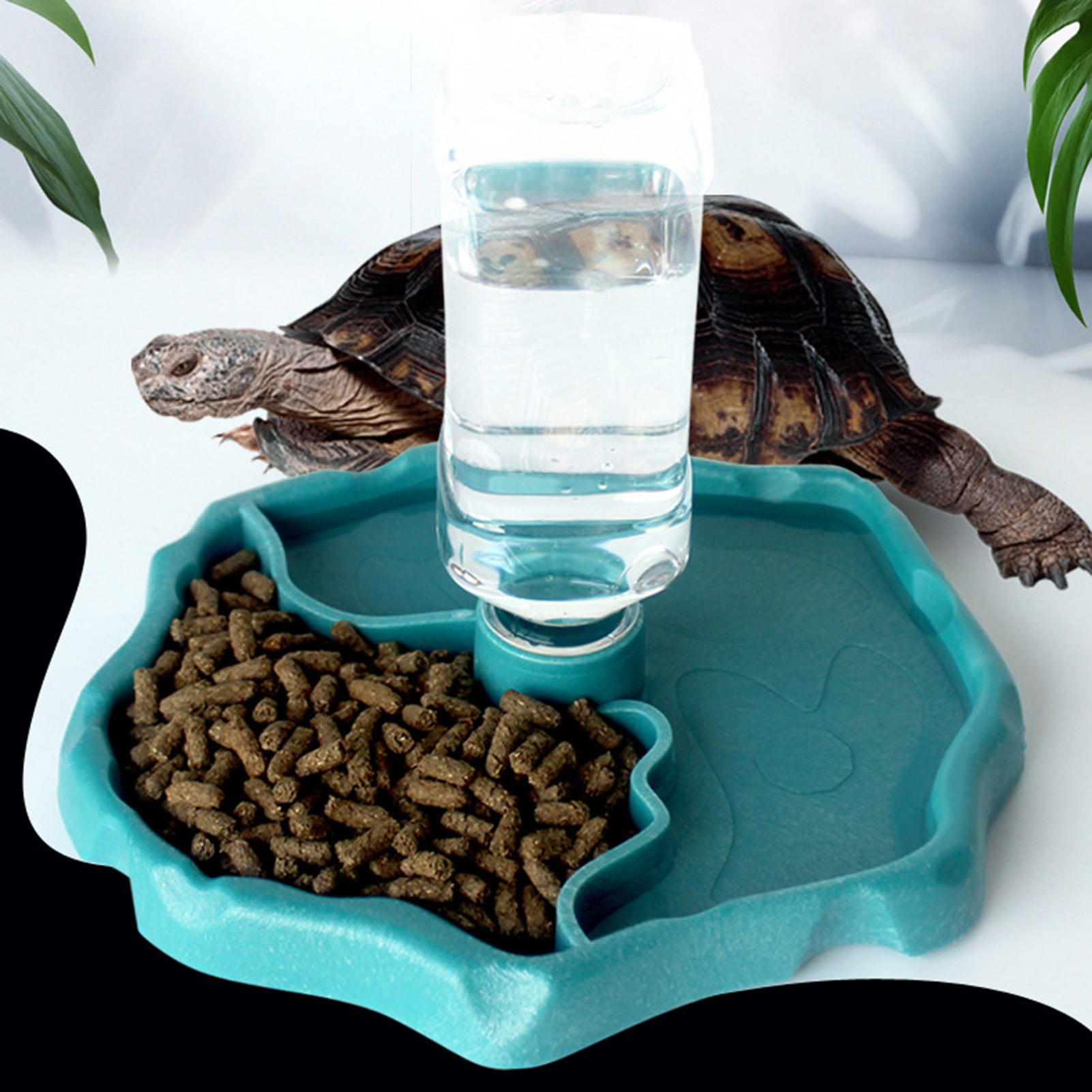 Bobasndm Reptile Water Bottle Automatic Tortoise Feeders Water Food ...