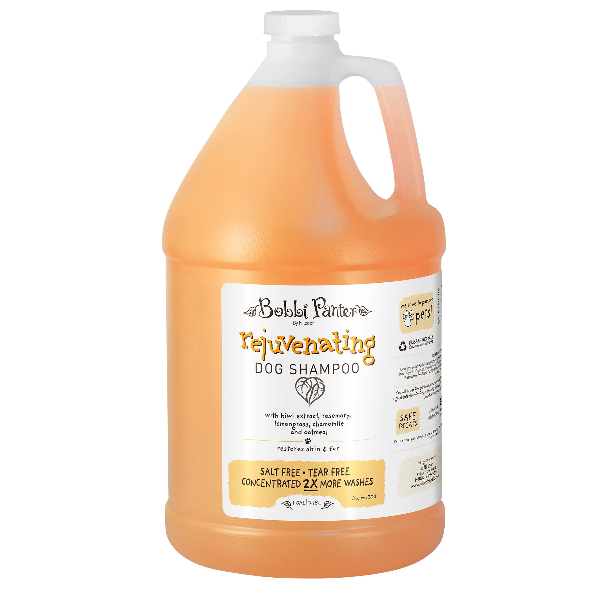 Bobbi Panter (Botanical) REJUVENATING DOG Shampoo - Kiwi Extract ...