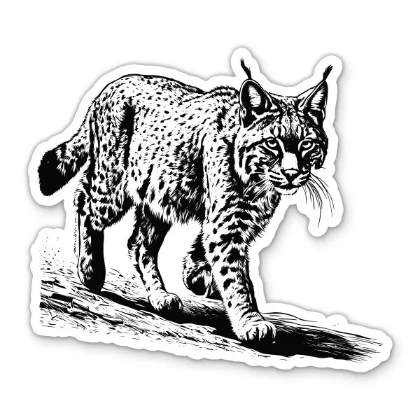 Bobcat Nature Outdoor Sticker Phone Decal Water Bottle Stickers Car ...