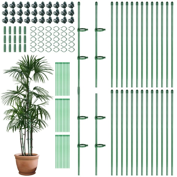 Indoor Gardening Supports: Natural Thin Bamboo Stakes Over 5 Feet Tall ...