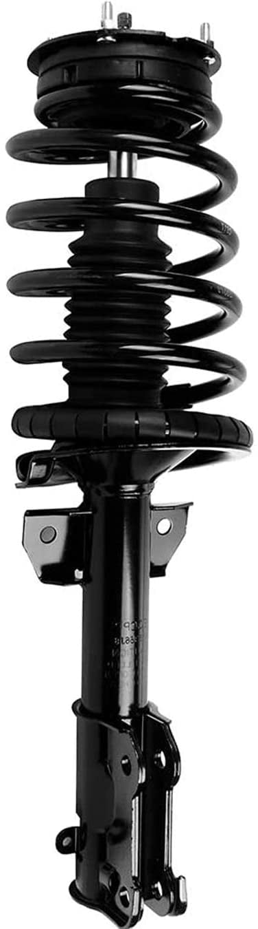 Bodeman Front Complete Strut & Spring Assembly for 2005-2010 Ford ...
