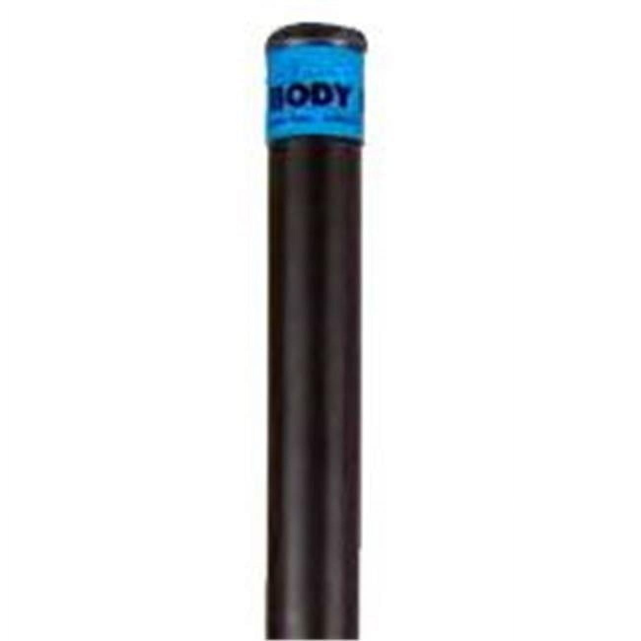 Body Bar Systems B- 12lb Body Bar - Walmart.com