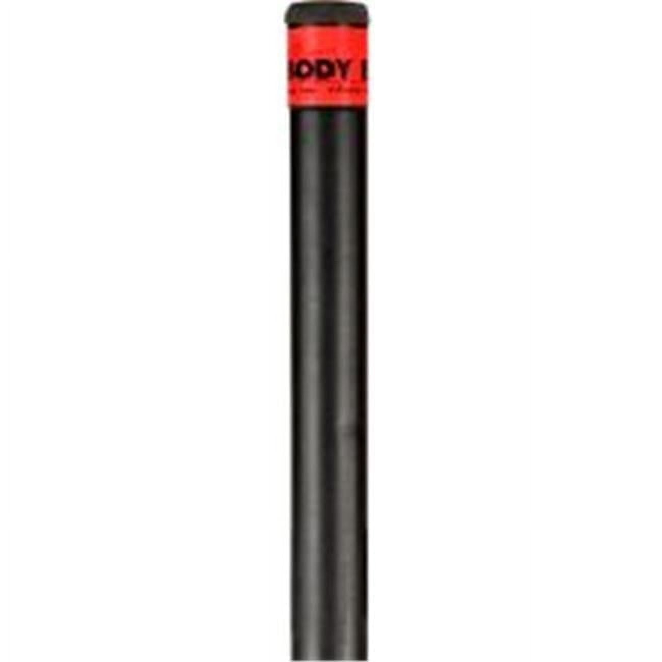 Body Bar Systems B- 4 Pound Body Bar - Walmart.com