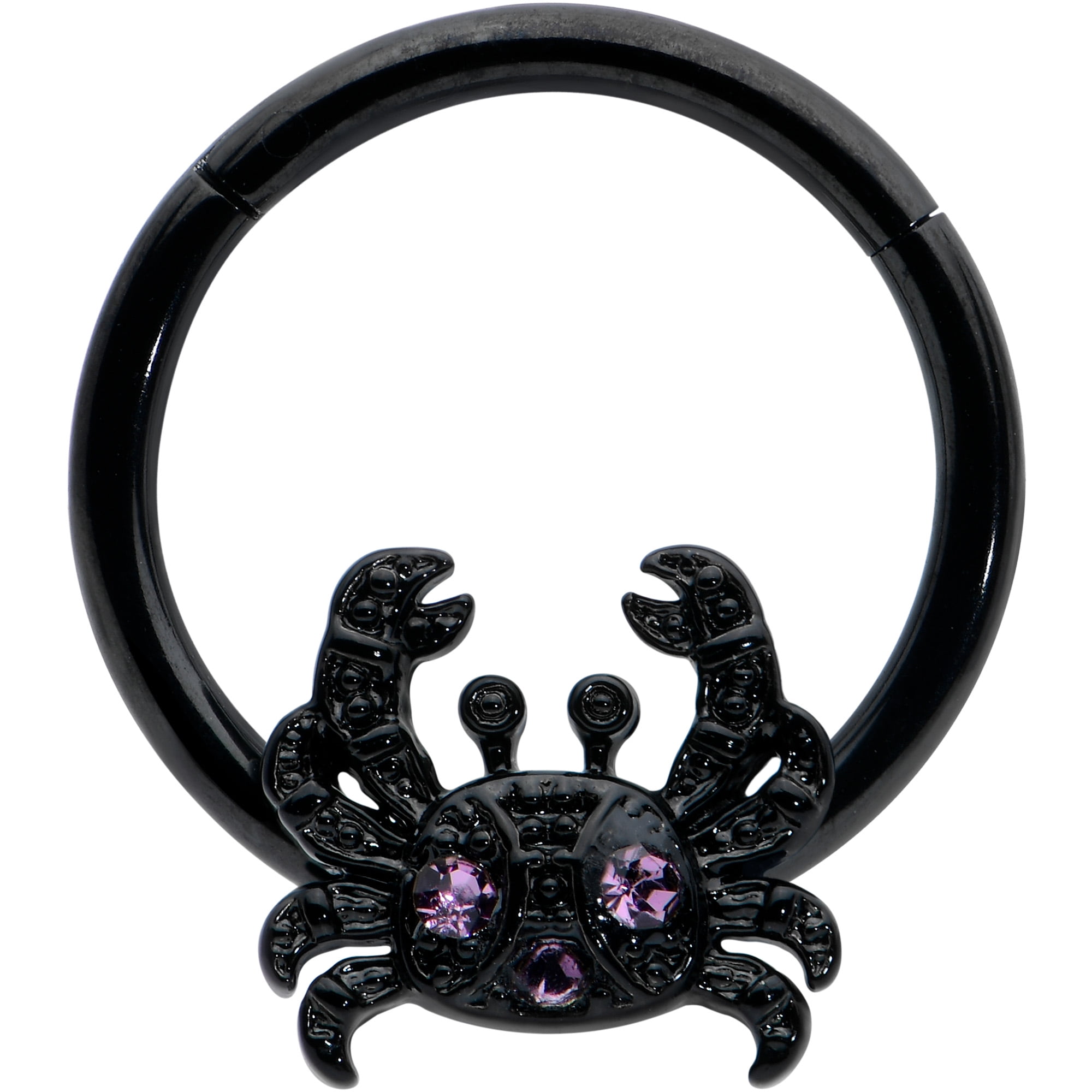 Body Candy 16G Steel Black Hinged Segment Ring Seamless CartilageChic ...