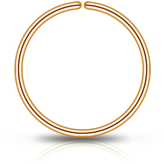 Body Candy Body Candy Seamless Ring Nose Ring Hoop for Women 14k Real ...