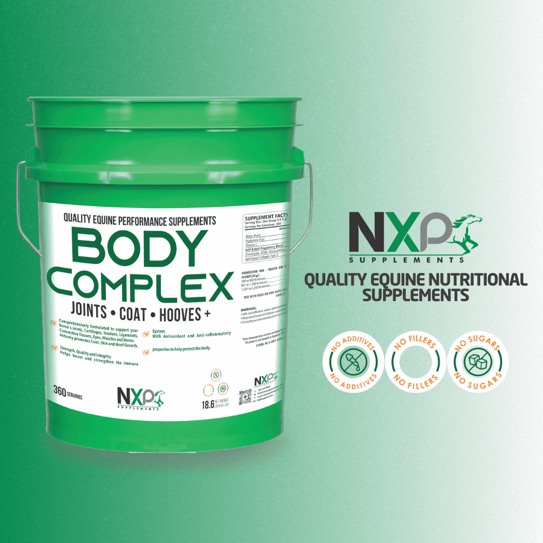Body Complex - Joints Hooves Coat Skin and more Horse Supplement - 18.6 ...