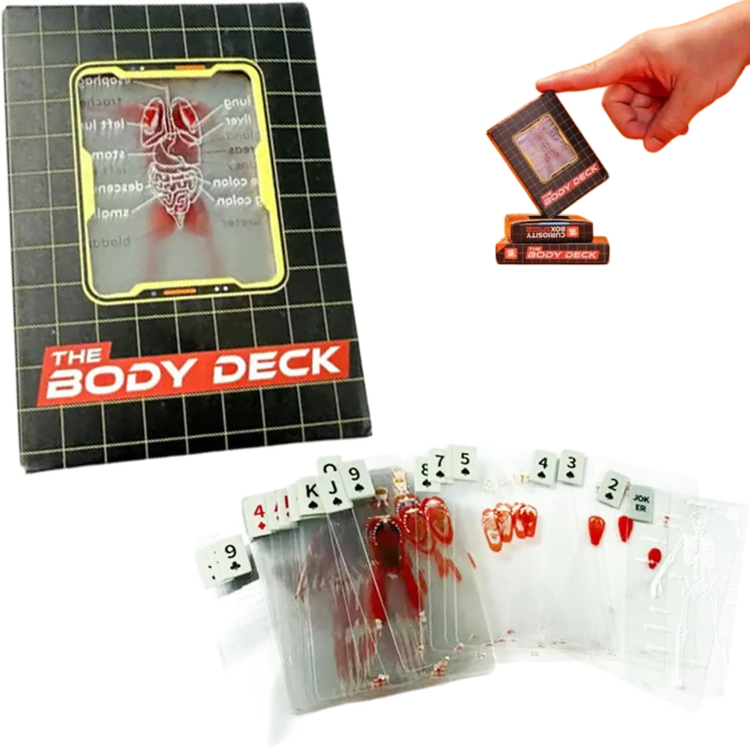 The Body Deck - Discover The Wonders of The Bodys Decks! Funny ...
