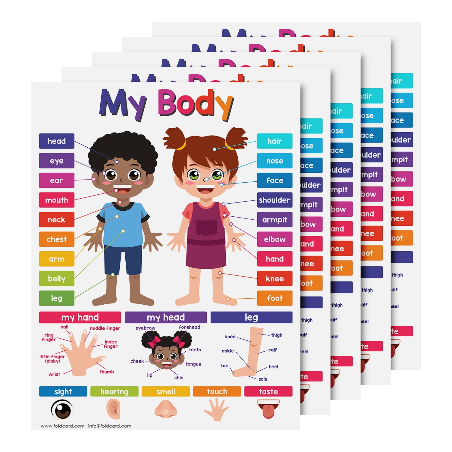 My Body Educational Chart for Preschool to Grade 1 Kids – Bright and ...