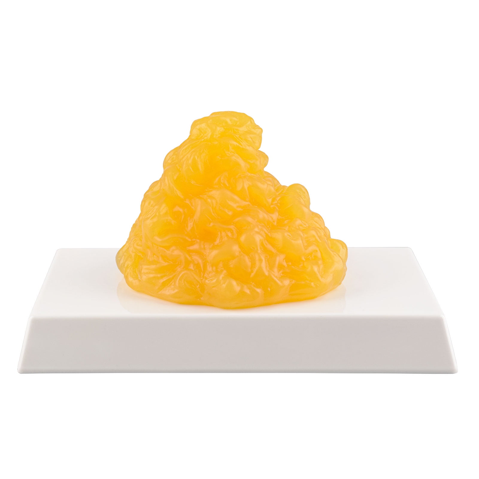 Body Fat Replica 1 lb with Display Base, Keep Fit & Weight Loss ...