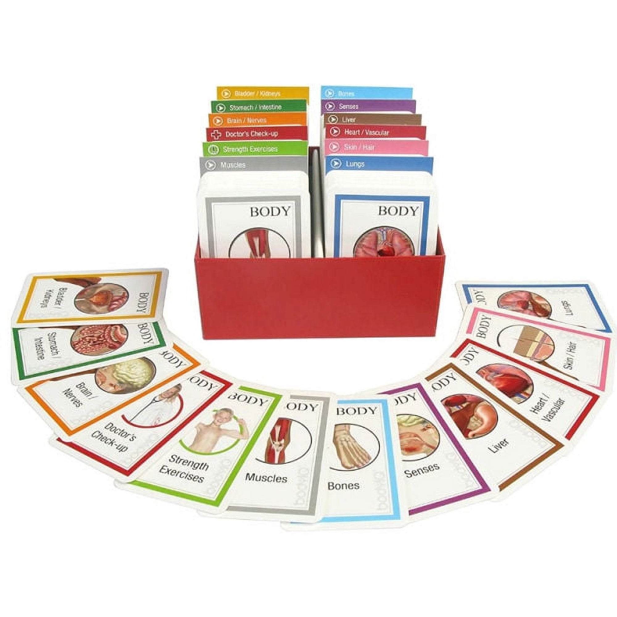 Body IQ Standard Set of Cards - Walmart.com