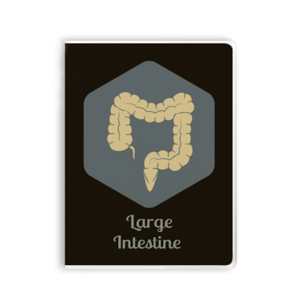 Body Large Intestine Notebook Gum Cover Diary Soft Cover Journal ...