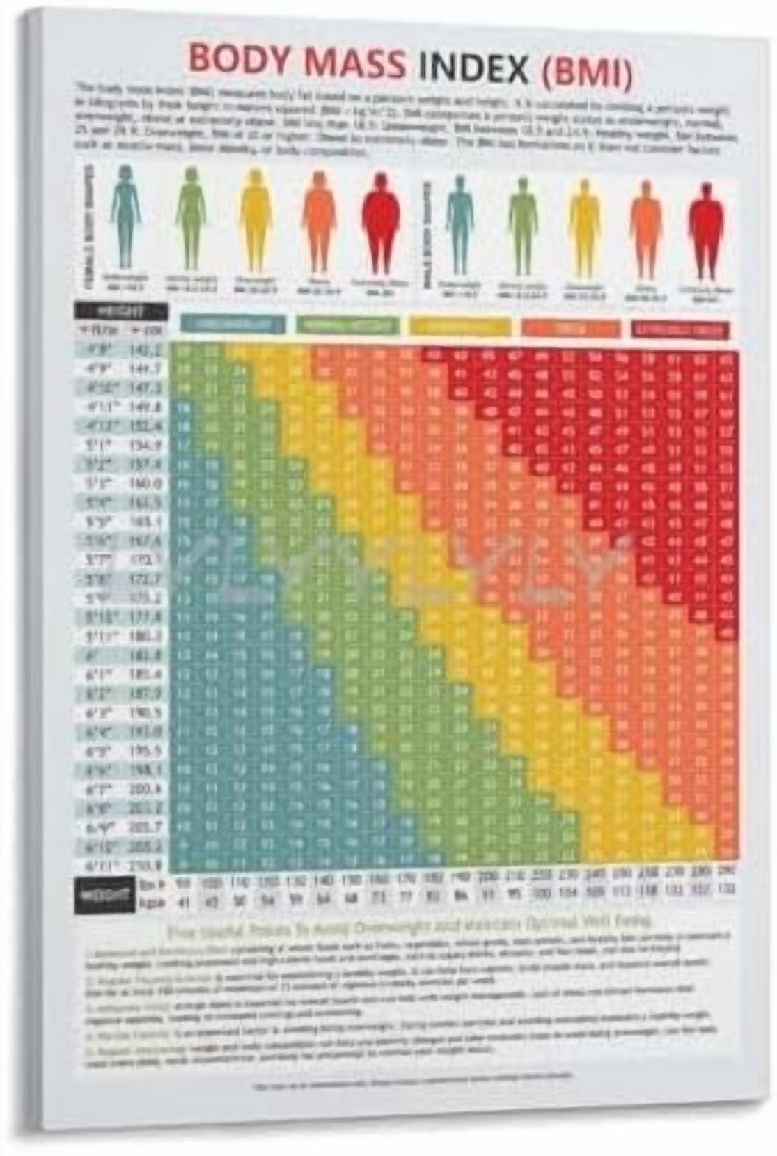 Body Mass Index Chart Bmi of Man And Woman Scale Poster 6 Canvas ...