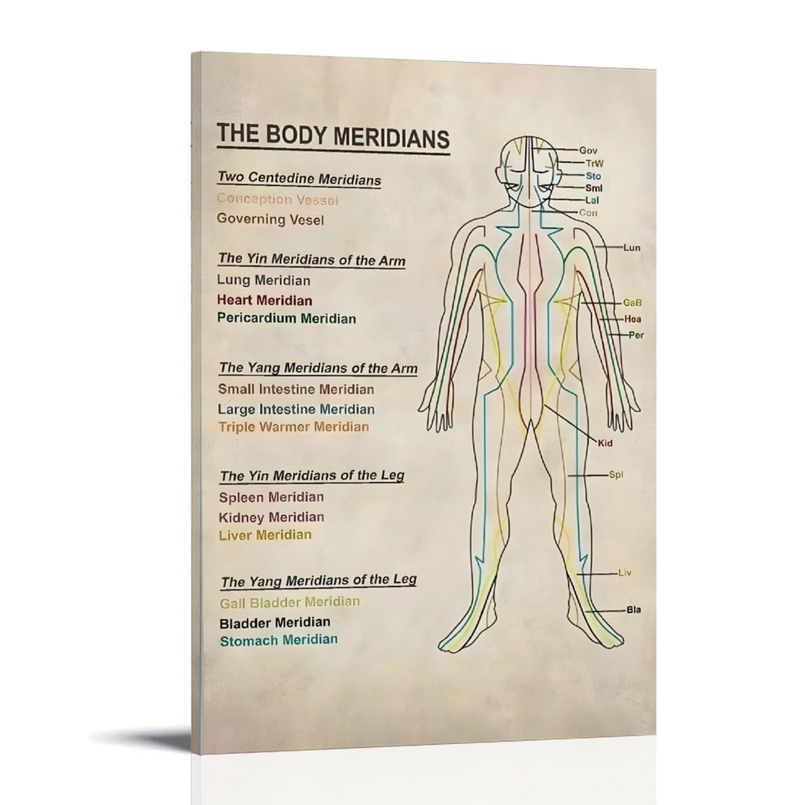 Body Meridians Knowledge Poster Foot Reflexology Chart Trigger Points ...