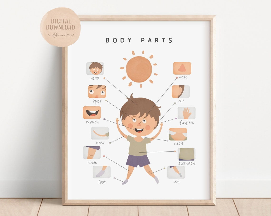 Body Parts, Educational Poster, Printable Wall Art, , Body Parts Poster ...